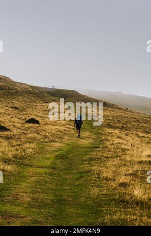 Pilgrim from behind along the Camino de Santiago. Path of the way of St ...