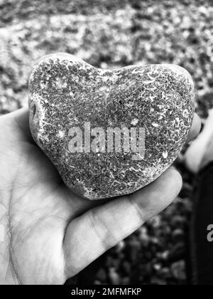 A vertical grayscale of a hand holding a heart shaped rock Stock Photo ...