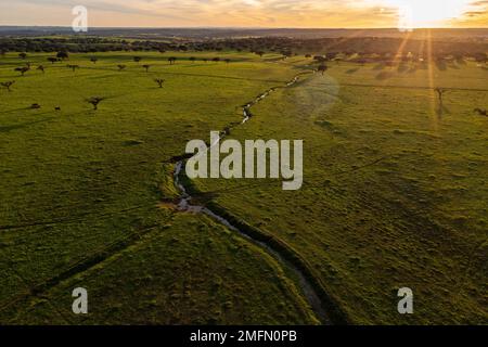 Aerial view of the countryside of the Alentejos Farm Ranches Stock ...