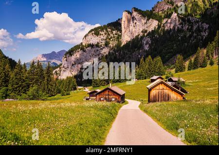 alpine landscape inside Val San Nicolò, Val di Fassa during a summer ...