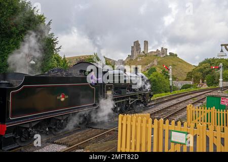 The SR U Class steam locomotive 31806 passes Corfe Castle on the ...