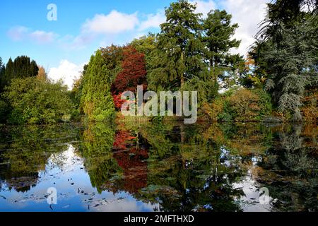 lake in altamont gardens,carlow,pond,lake,reflect,reflection,still,calm ...