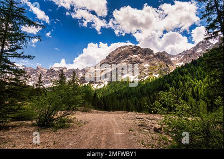 alpine landscape inside Val San Nicolò, Val di Fassa during a summer ...