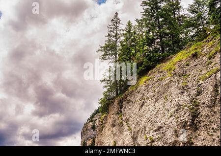 alpine landscape inside Val San Nicolò, Val di Fassa during a summer ...