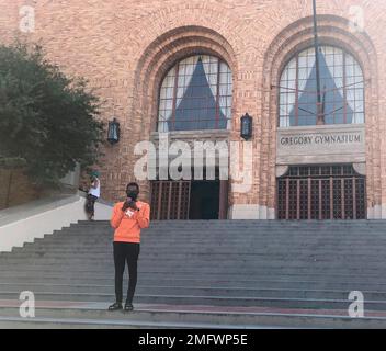 Gregory Gymnasium, University of Texas, Austin Stock Photo - Alamy