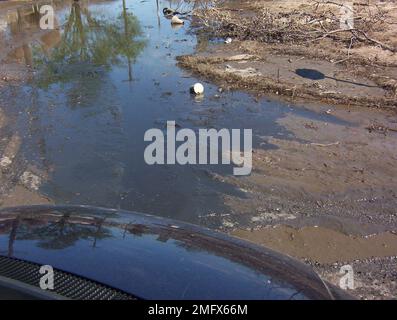 Material from Vice Admiral Allen - Captain Atkin Overview - 26-HK-364-1 ...