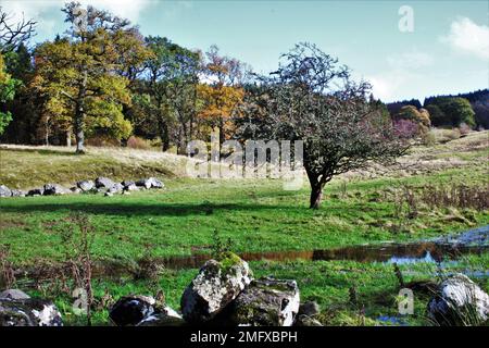 Craigengillan - Scotland Stock Photo - Alamy