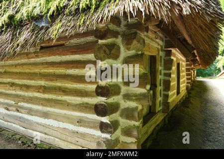 Sanok, July in the open-air museum, Painted door to the old building ...