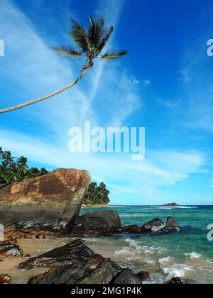 Sandy beach, palm trees, Dalawella Beach, Unawatuna, Southern Province ...