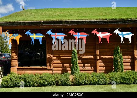 goats graze the grass roof of Al Johnson's Swedish Restaurant and Butik ...