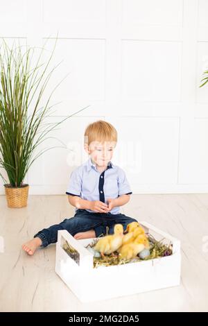 Cute children, boy, playing with ducks Stock Photo - Alamy