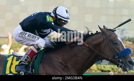 Jockey John Velazquez riding Authentic gallops to the finish line to ...