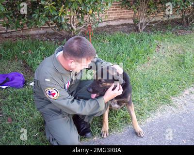 Animals - 26-HK-59-4. dog drinking in motel parking lot --050913 ...
