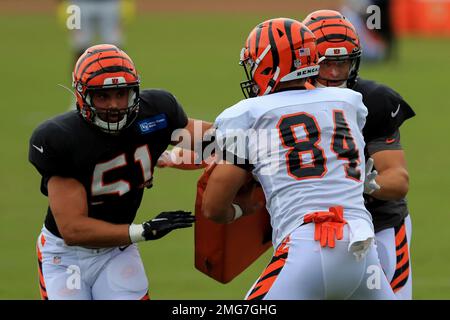 Cincinnati Bengals' Markus Bailey, left, battles against Mitchell ...