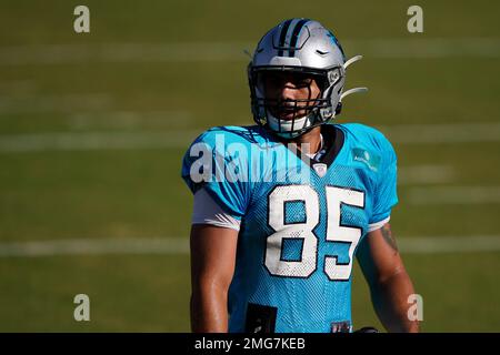 Carolina Panthers tight end Giovanni Ricci catches a pass during the ...