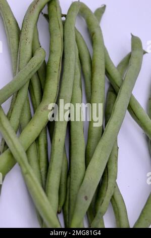 Green Beans Are Known By Many Common Names, Including French Beans ...