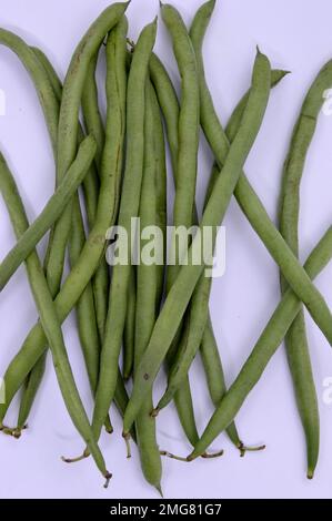 Green Beans Are Known By Many Common Names, Including French Beans ...
