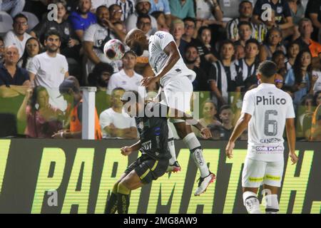 Santos, Brazil. 25th Jan, 2023. SP - Santos - 01/25/2023 - PAULISTA ...