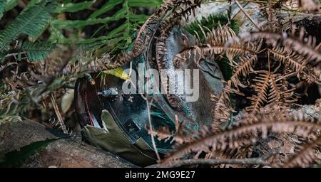 An improvised explosive device (IED) is hidden in the brush during IED ...