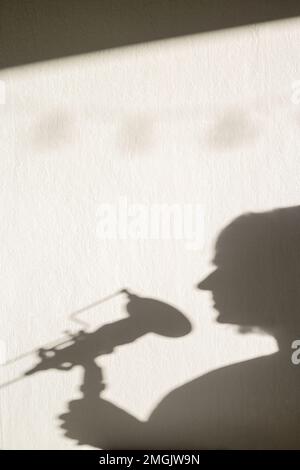 Shadow of Female Podcast Creator with Microphone Stock Photo - Alamy