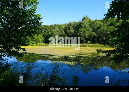 View of the Fulda near Fuldatal. Landscape by the river Stock Photo - Alamy