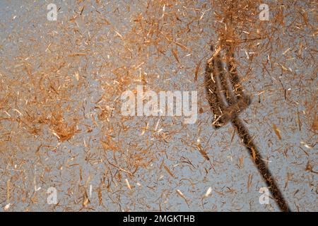 A farmer is separating grain from chaff by throwing mixture into the ...
