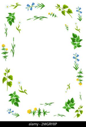 Illustration of herb and cereal grass. Beautiful decorative spring ...