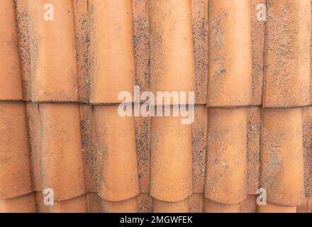 Red corrugated tile element of roof tile pattern green garden park ...