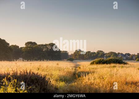 Forest Gate local area photography, London, UK, England Stock Photo - Alamy