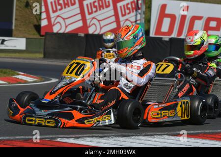 Franco Colapinto is an Argentine Italian racing driver, He is also a ...