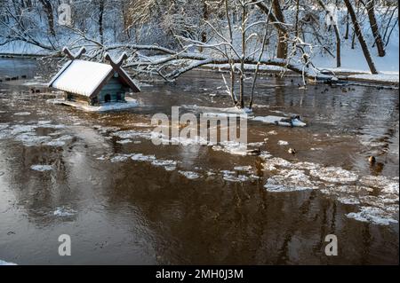 spring floods and ice melt in a small river, waterfowl feeder flooded ...