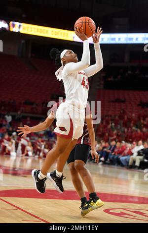 Arkansas guard Makayla Daniels (43) looks to pass the ball against ...