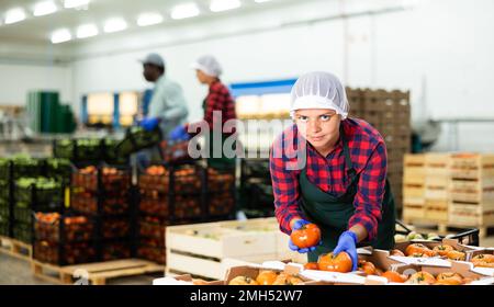 Positive female employee of vegetable sorting factory arranging ...