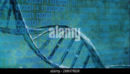 Image of dna rotating over binary code on green background Stock Photo - Alamy