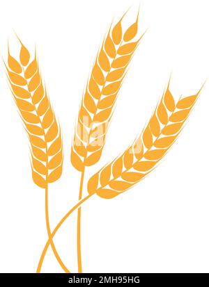 Agriculture wheat vector icon design Stock Vector Image & Art - Alamy