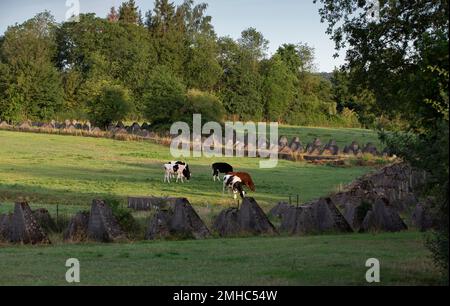Square-pyramidal fortifications of reinforced concrete commonly known ...