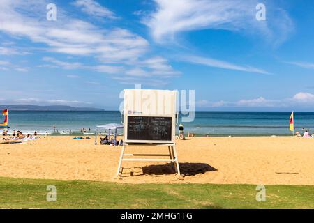 Australian Lifeguard Service, lifeguard hut station elevated on Palm ...