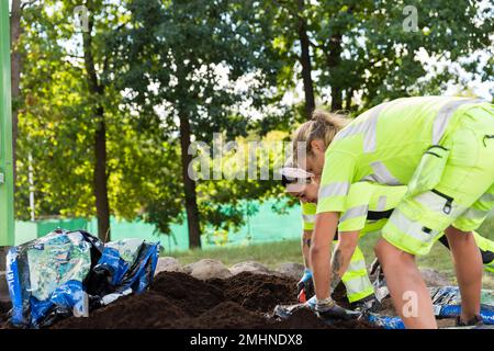 Female workers doing landscaping work Stock Photo - Alamy