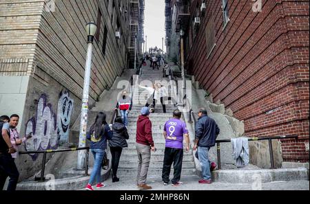 The ‘Joker Stairs’ in the Bronx Stock Photo - Alamy