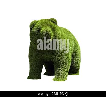 Beautiful bear shaped topiary isolated on white. Landscape gardening ...