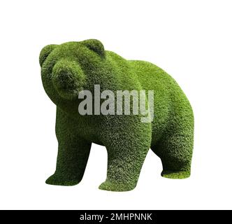 Beautiful bear shaped topiary isolated on white. Landscape gardening ...