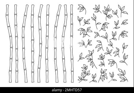 Bamboo stem and leaves outline border set. Exotic decoration elements ...