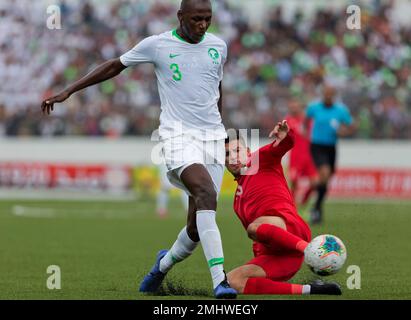 Abdullah Madu during the FIFA World Cup Qatar 2022 Group A match ...