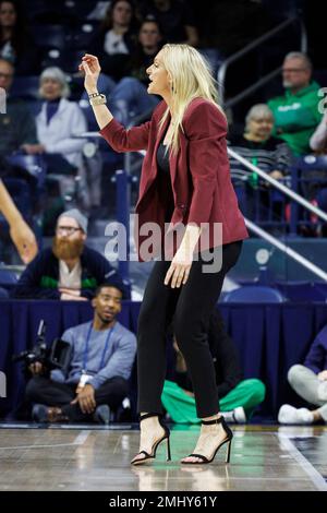 Florida State head coach Brooke Wyckoff looks on during the second half ...