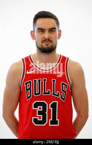 Chicago Bulls guard Tomas Satoransky, right, shoots against Phoenix ...
