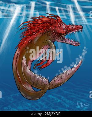 Icelandic Sea Creatures Stock Photo - Alamy