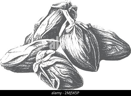 nk drawn dates with leaves. Ripe fruits hang from the branches.Border ...