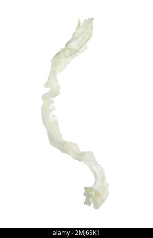 Cut fresh napa cabbage isolated on white Stock Photo - Alamy