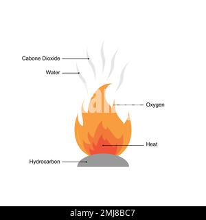 Scientific Designing of Combustion Reaction. Vector Illustartion Stock ...