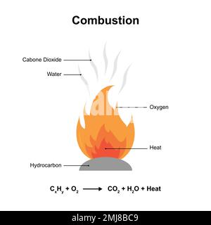 Scientific Designing of Combustion Reaction. Vector Illustartion Stock ...